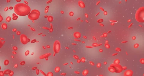 3D animation of red blood cell | Stock Video | Pond5