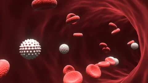 3d Animation of Red Blood Cells Flow Thr... | Stock Video | Pond5