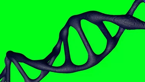 3D animation of rotating DNA formation w... | Stock Video | Pond5