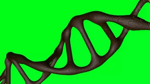 3D animation of rotating DNA formation w... | Stock Video | Pond5