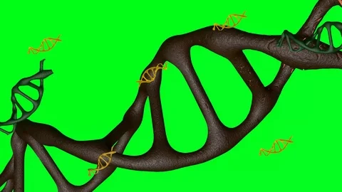 3D animation of rotating DNA formation w... | Stock Video | Pond5