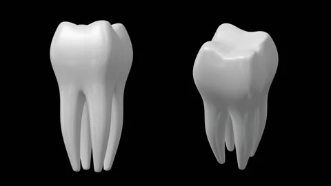 3d animation of rotating white tooth on ... | Stock Video | Pond5