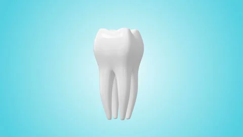 3d animation of rotating white tooth on ... | Stock Video | Pond5