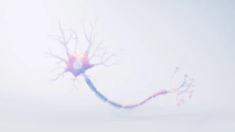 Neuron Signals Animation Stock Videos – Royalty-Free HD & 4K Videos ...