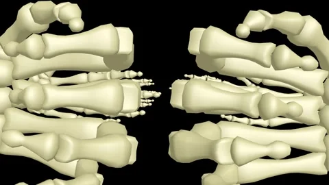 3D Animation of Skeleton Hands Clenching... | Stock Video | Pond5