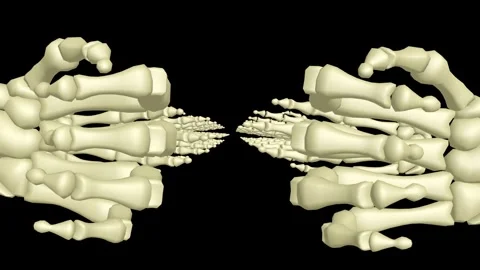 3D Animation of Skeleton Hands Clenching... | Stock Video | Pond5