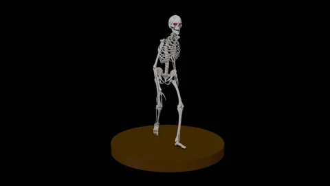 Skeleton Walking Stock Videos – Royalty-Free HD & 4K Videos | Pond5