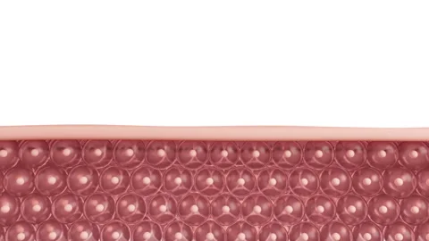 3D animation of a skin cell surface stru... | Stock Video | Pond5