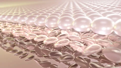 3D animation skin layer reduces saggy sk... | Stock Video | Pond5