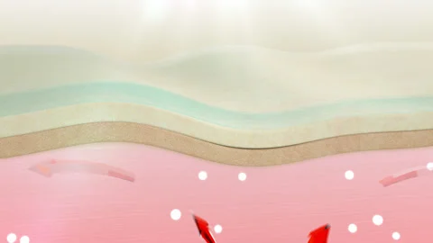 Skin Layer 3D Stock Videos – Royalty-Free HD & 4K Videos | Pond5
