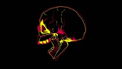 3d animation skull is spinning | Stock Video | Pond5