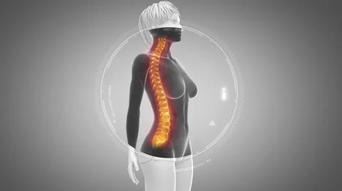 3D animation of SPINE anatomy in loop | Stock Video | Pond5