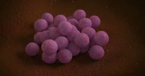 Staphylococcus Aureus Stock Footage ~ Royalty Free Stock Videos | Pond5