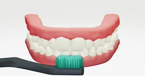 3d animation stylized teeth, jaw, mouth,... | Stock Video | Pond5
