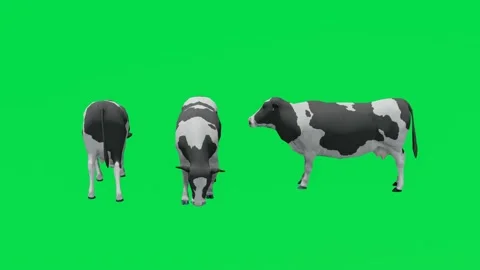 3D animation of three purebred dairy cow... | Stock Video | Pond5