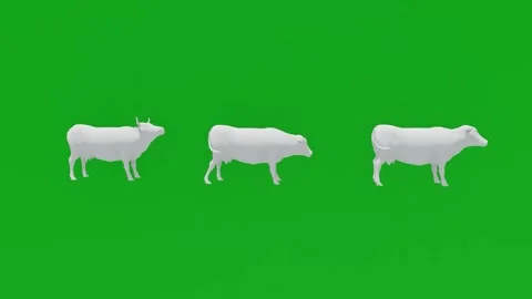 3D animation of three white milk cows on... | Stock Video | Pond5