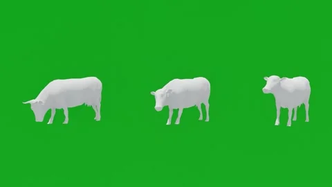 Cow Milk Animation Stock Footage ~ Royalty Free Stock Videos | Pond5