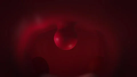 3D Animation of Uvula and Tonsils in Hu... | Stock Video | Pond5