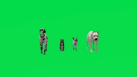 3D animation of various dogs and cats on... | Stock Video | Pond5
