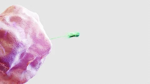 3D Animation of a white blood cell leuko... | Stock Video | Pond5