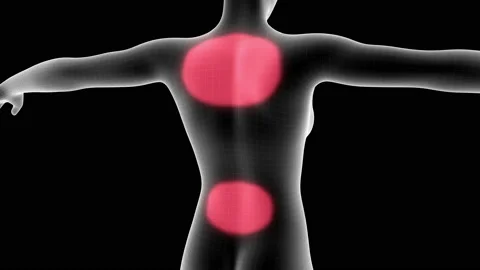 Back Pain Animation Stock Footage ~ Royalty Free Stock Videos | Pond5