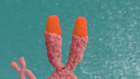 X3D Animation Stock Video Footage | Royalty Free X3D Animation Videos ...