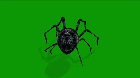 Spider View Stock Footage ~ Royalty Free Stock Videos | Pond5