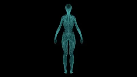 3D Body Transparent Hologram Anatomy Rot... | Stock Video | Pond5