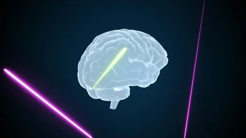 3d brain animation and neon effects, cre... | Stock Video | Pond5