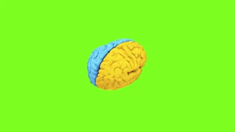 3D Brain icon animation cartoon best ob... | Stock Video | Pond5