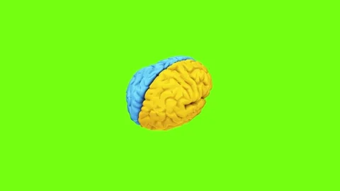 3D Brain icon. Animation on green screen... | Stock Video | Pond5
