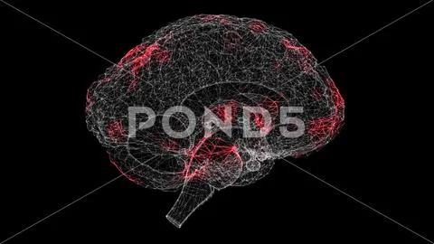 3D Brain Scan. Brain Scanning Interface. HUD Brain analyze. Medical ...