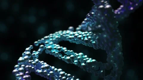 Active Evolution Stock Video Footage | Royalty Free Active Evolution ...