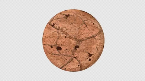 3D Cookie Rotating on a Transparent Back... | Stock Video | Pond5