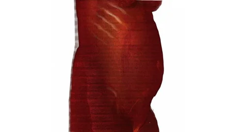 3D CT scan showing a woman 32 weeks preg... | Stock Video | Pond5