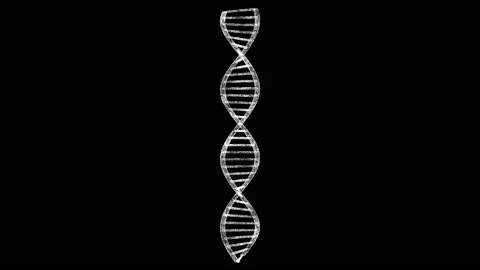 3D DNA strand rotates on black bg. Objec... | Stock Video | Pond5