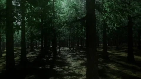 3D Into the Forest Landscape Loop Motion... | Stock Video | Pond5