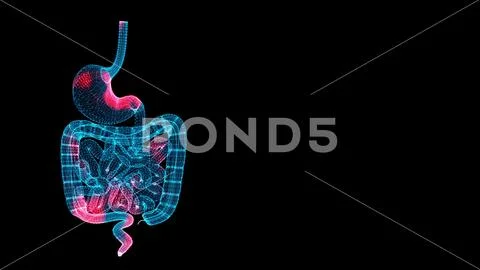 3D Gastrointestinal tract Scan. Organ Scanning Interface. HUD stomach ...