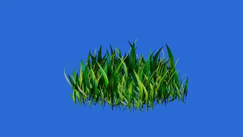 3d grass rotates on on blue screen | Stock Video | Pond5
