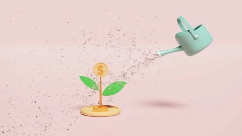 Watering Money Plant Stock Videos – Royalty-Free HD & 4K Videos | Pond5