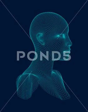 3d head wireframe vector. Drawing of wireframe head 3d model. Vector ...