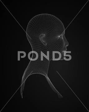 3d head wireframe vector. Drawing of wireframe head 3d model. Vector ...