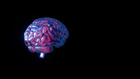 3D holographic brain animation with vari... | Stock Video | Pond5