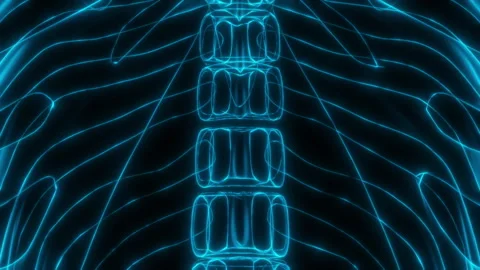 3D Holographic X-Ray View of Human Body ... | Stock Video | Pond5
