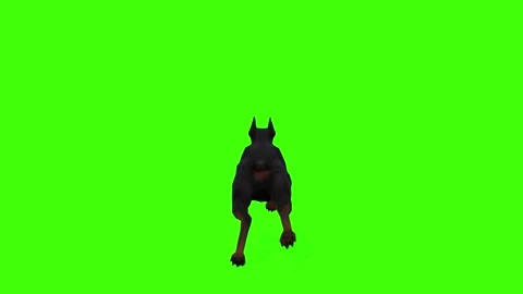 3D hound back view loop animation on the... | Stock Video | Pond5