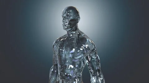 3D human body Anatomy | Stock Video | Pond5