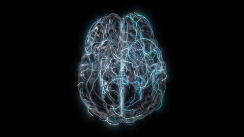 Moving Brain Animation