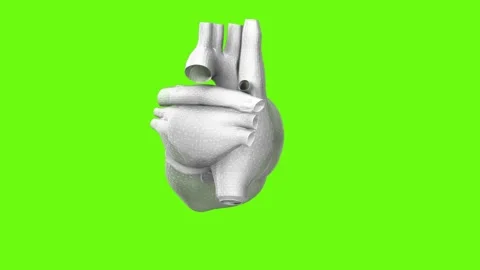 3D human heart rotation animation video ... | Stock Video | Pond5
