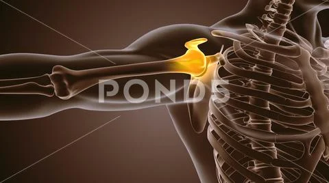 3d Human shoulder pain animation background: Graphic #201473521