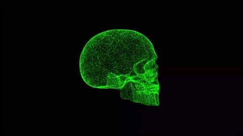 3D human skull rotates on black backgrou... | Stock Video | Pond5